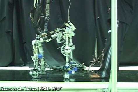 Quadrupedal Walking Of Multi Locomotion Robot Youtube