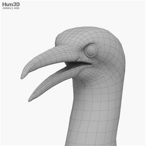 Gannet 3d Model Animals On 3dmodels