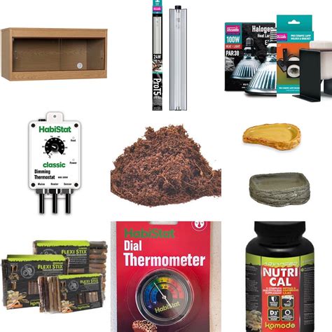 TORTOISE VIVARIUM SETUP WITH T LIGHTING DAY NIGHT TIME HEATING THE TORTOISE HUT