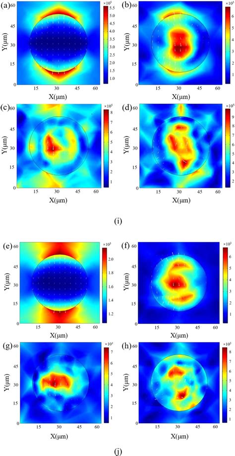 Wave Field Distribution Of 2d View Of Xy Plane Z 250 Um Of The Download Scientific Diagram