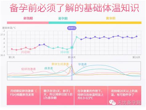 怎样用基础体温测排卵基础体温怎么测排卵 随意云