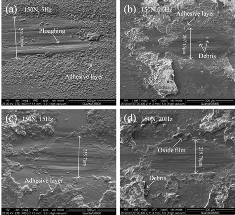 The Surface Worn Sem Micrographs Of Specimen At Frequencies Of A 5