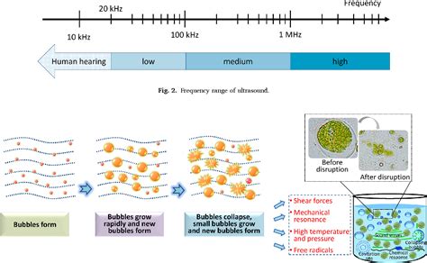 Figure From Ultrasound For Microalgal Cell Disruption And Product Extraction A Review