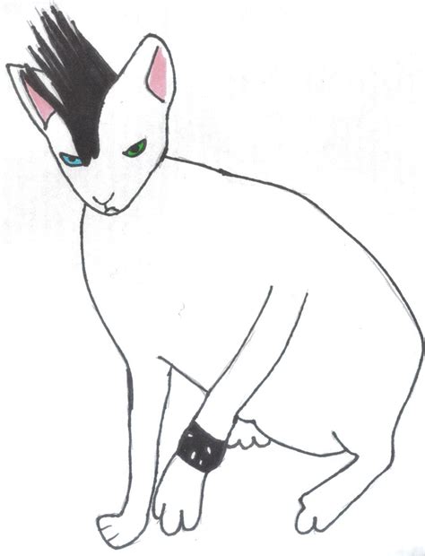 Punk Kitteh By Ai Tane On Deviantart