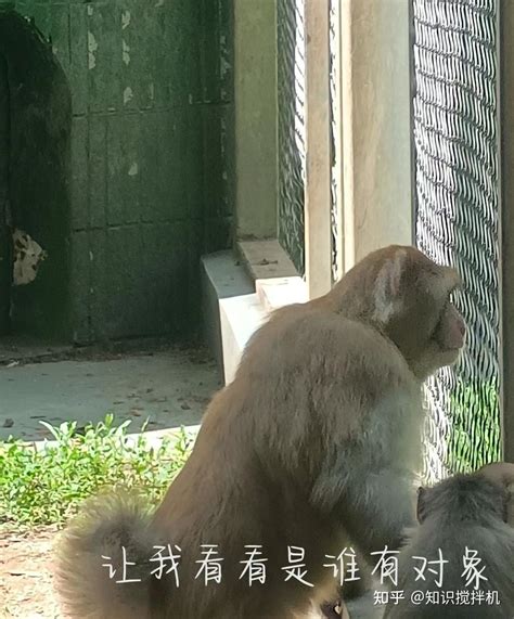 双11光棍节的历史由来！ 知乎