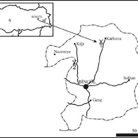 Classification Of Kerogene Types By Hydrogen Index T Max Diagramme 10