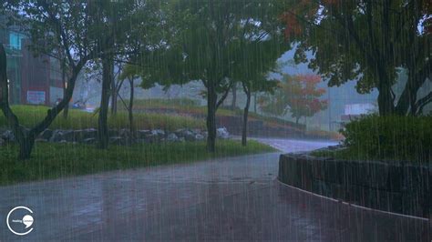 잠 못드는 밤 깊은 수면을 위한 폭우와 천둥소리 불면증에 좋은 빗소리 Asmr Youtube