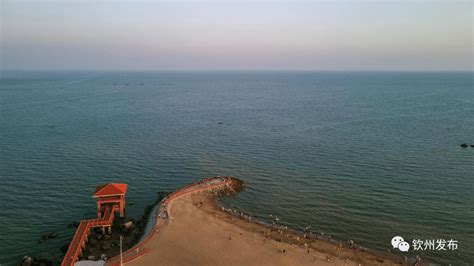 看！壮美钦州海宝藏地茅尾海沙滩中华白海豚