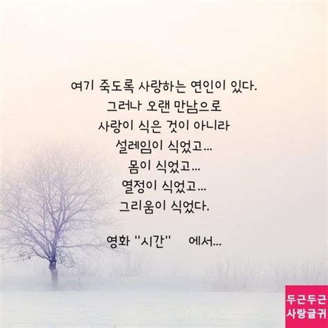그리움이 식었다