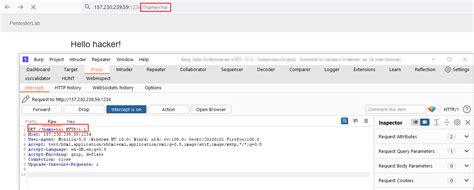 Using Burp Suite Brute Force Payloads Using Xss Validator Extension