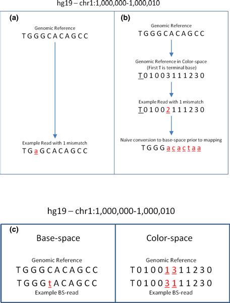 Interpreting Mismatches Between Reads In Base And Color Space Ab Download Scientific