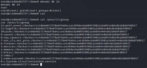 基于网络安全的docker逃逸 docker cap add system admin csdn博客