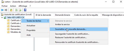 La Gestion De Certificats En Entreprise Avec Ladcs Et Openssl Loonaire Blog