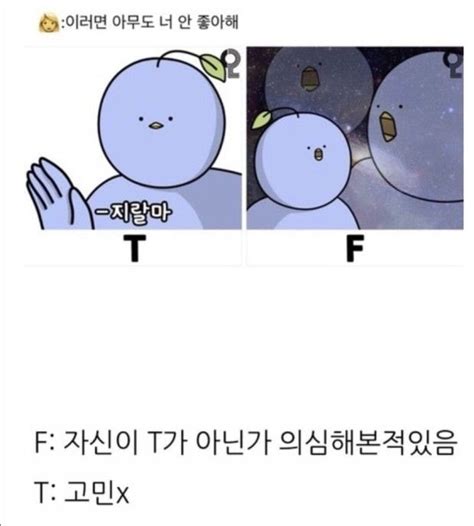 Mbti T와 F 차이 짤 모음 대방출 Mbti 짤 T F 차이 짤 네이버 블로그