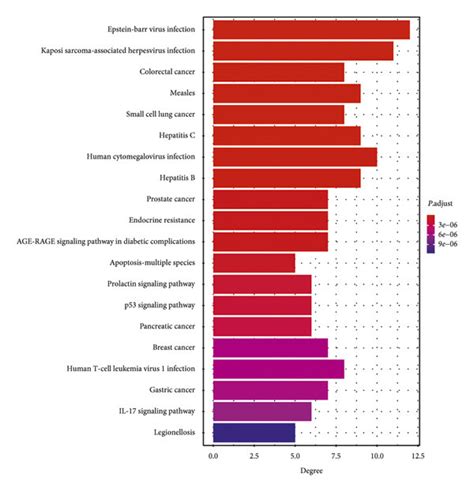 Kegg Pathway For Component Target Pathway Network Analysis Target Download Scientific Diagram