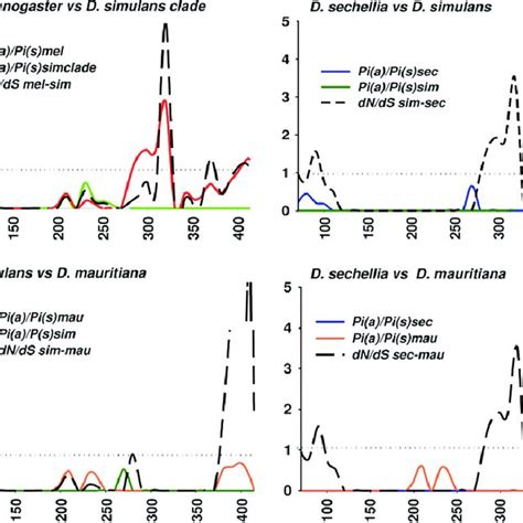 sliding window analysis of the ratio of polymorphism to divergence in