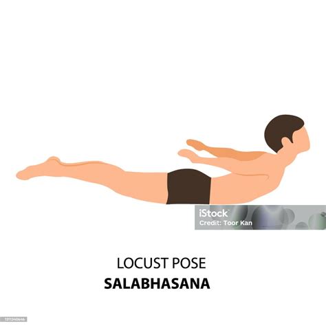 요가 포즈를 취하는 남자는 고립 된 벡터 일러스트레이션 메뚜기 포즈 나 사람바사나 포즈 요가 아사나 아이콘에 서 있는 남자 개념에 대한 스톡 벡터 아트 및 기타 이미지