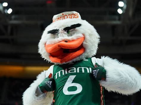 Miami Hurricanes Mascot Wallpaper