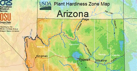 Phoenix Az Usda Hardiness Zone Map And Planting Guide The Garden Magazine