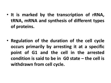 Cell Cycle Mitosis And Meiosis Smg Ppt