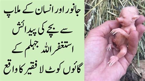 Janwar Aur Insan Ky Mlap Sy Ajeeb Bachy Ki Paidaish Youtube