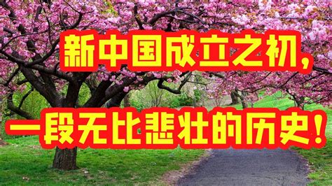 新中国成立之初，一段无比悲壮的历史！ Vocals Youtube
