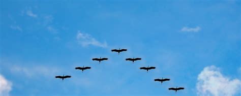 How To Migrate Paragraphs From Drupal 7 To Drupal 8 Softescu