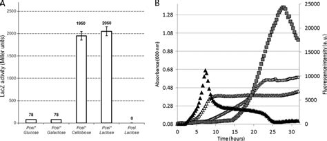 A Specific Galactosidase Activity Miller Units Of Hb21 Containing
