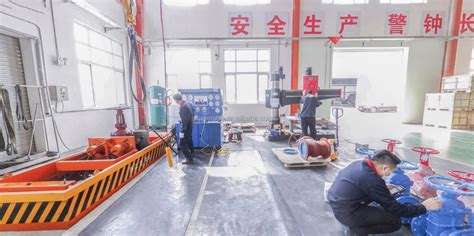 Din Ansi Astm Standard Wafer Type Single Plate Disc Swing Check Valve