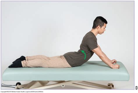 Mckenzie Low Back Exercises