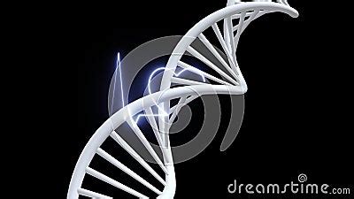DNA Structure D Animation For Medical Research And Biology Genetic Laboratory Study Stock Video