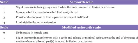 Modified Ashworth Scale