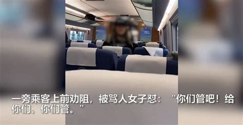 女子高铁辱骂威胁母亲后弃母下车 乘客劝阻遭反怼你们管她吧 北晚新视觉