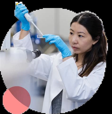 Statistical Consultancy Services Data Analysis Vsni