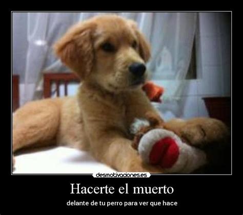 Imágenes Y Carteles De Hacerse Pag 9 Desmotivaciones