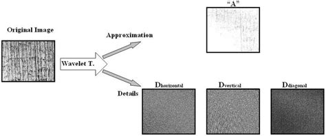 first level 2d wavelet transform download scientific diagram