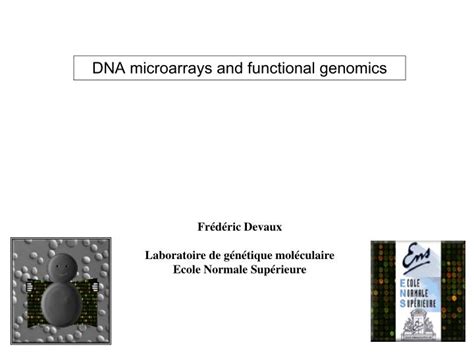 Ppt Dna Microarrays And Functional Genomics Powerpoint Presentation Free Download Id 4740657