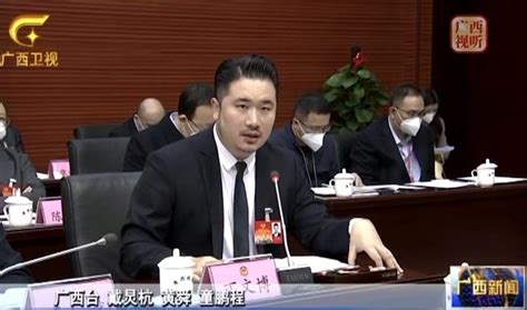 自治区主席蓝天立参加政协联组讨论，华控集团董事长丁文博参加并发言 广西华控投资集团