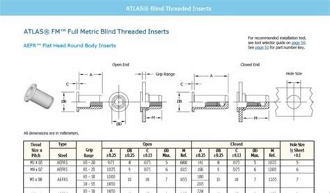 Material Stainless Steel Aefr Flat Head Round Body Inserts For
