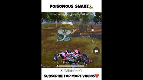 Poisonous Snake In Bgmi 🐍🐍shorts Bgmi Shortvideo Pubg