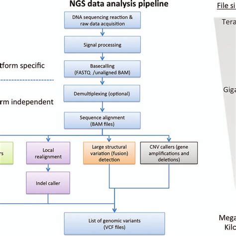 General Schema For Bioinformatics Workflow For Next Generation Download Scientific Diagram