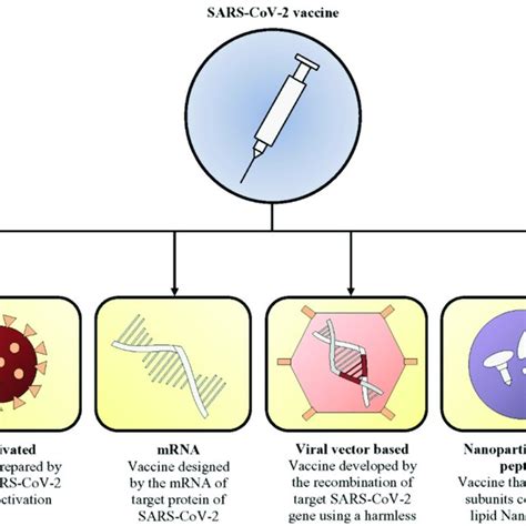 Types Of COVID 19 Vaccine Developed Based On Different Technologies Download Scientific Diagram