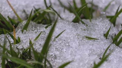 冰雪交融，万物复苏，四季更替，春意盎然，万物生长腾讯视频