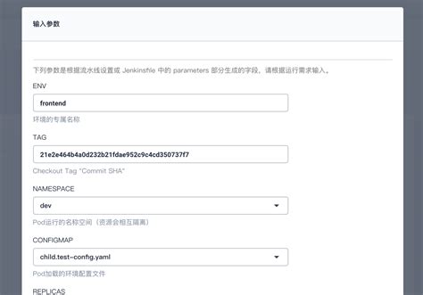 Ver 30 On Eks At Pipline Page Run Job They Dont Have Any Option