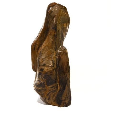 Fossilised Tree Trunks For Sale Large Wood Fossils