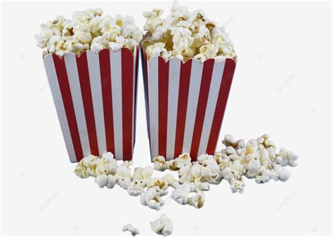 현실적인 팝콘 그림 벡터 팝콘 맛있는 맛있는 팝콘 Png 일러스트 및 이미지 에 대한 무료 다운로드 Pngtree