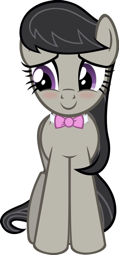 Octavia Mlp Vector