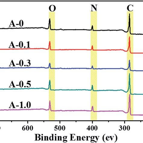 Morphologies Of The Polyamide Tfc Membranes A Top Surface Sem Download Scientific Diagram