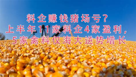料企赚钱猪场亏上半年11家料企4家盈利5家禽料仅海大逆势增长通威半年报靓眼 养殖一点通 云农科技