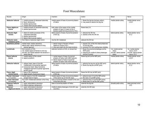 Muscle Attachment Table Compartment Wise Ppt